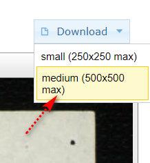 维多利亚大学 中国近代海报收藏如何使用 dezoomify-rs 下载？ – 书格